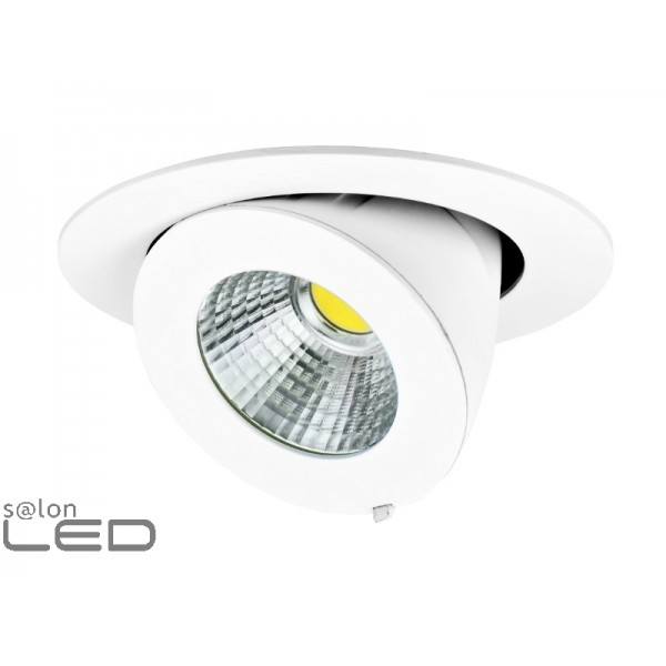 Pull out LED downlight 9W white